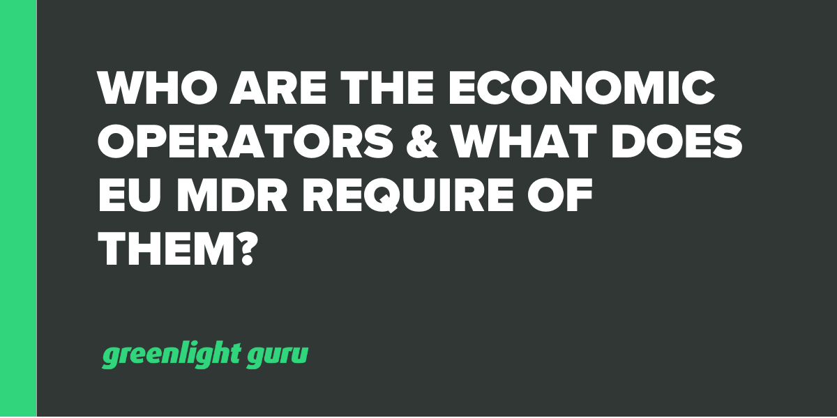 Who are the Economic Operators & What Does EU MDR Require of Them?